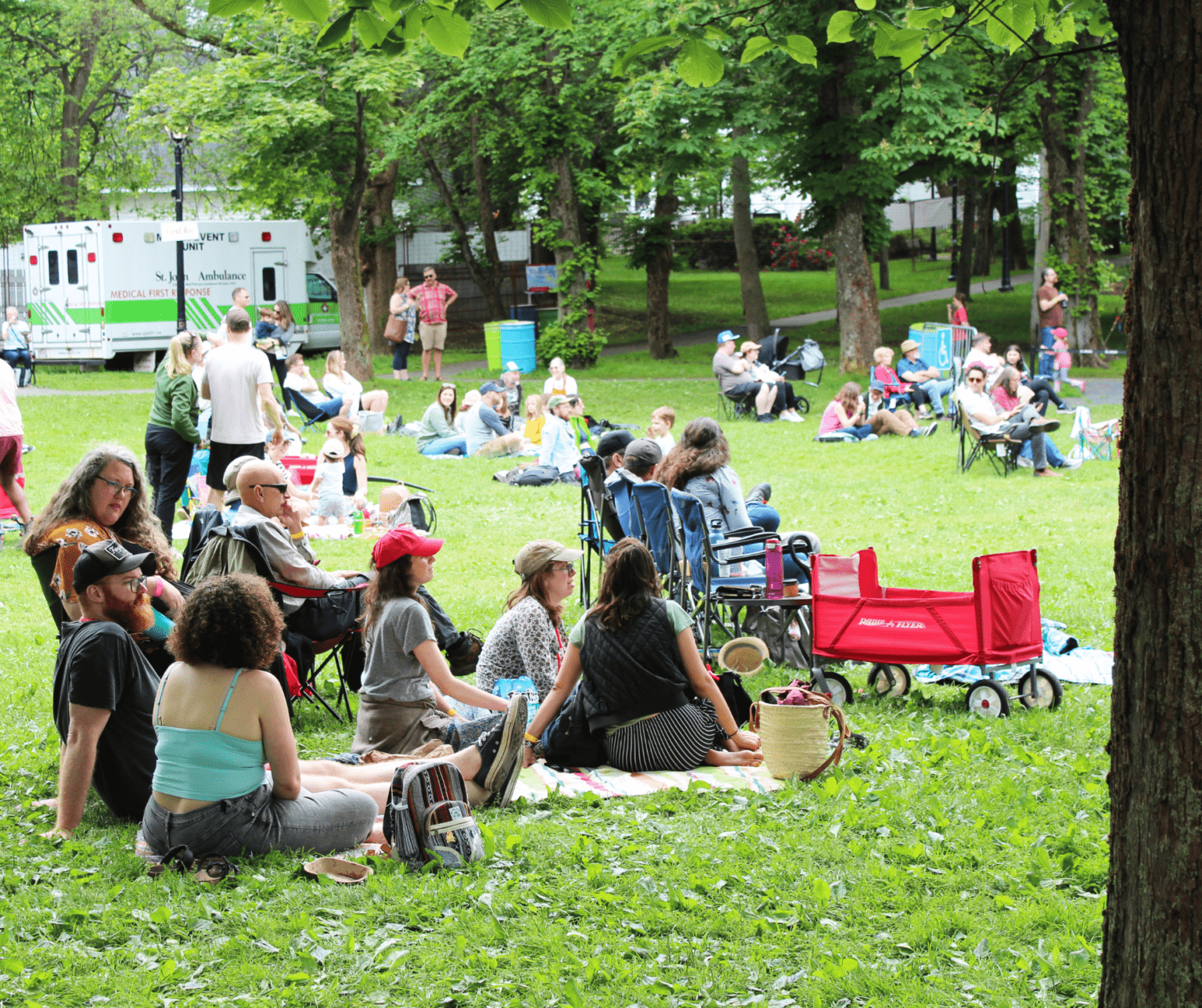 Newfoundland and Labrador Folk Arts Society